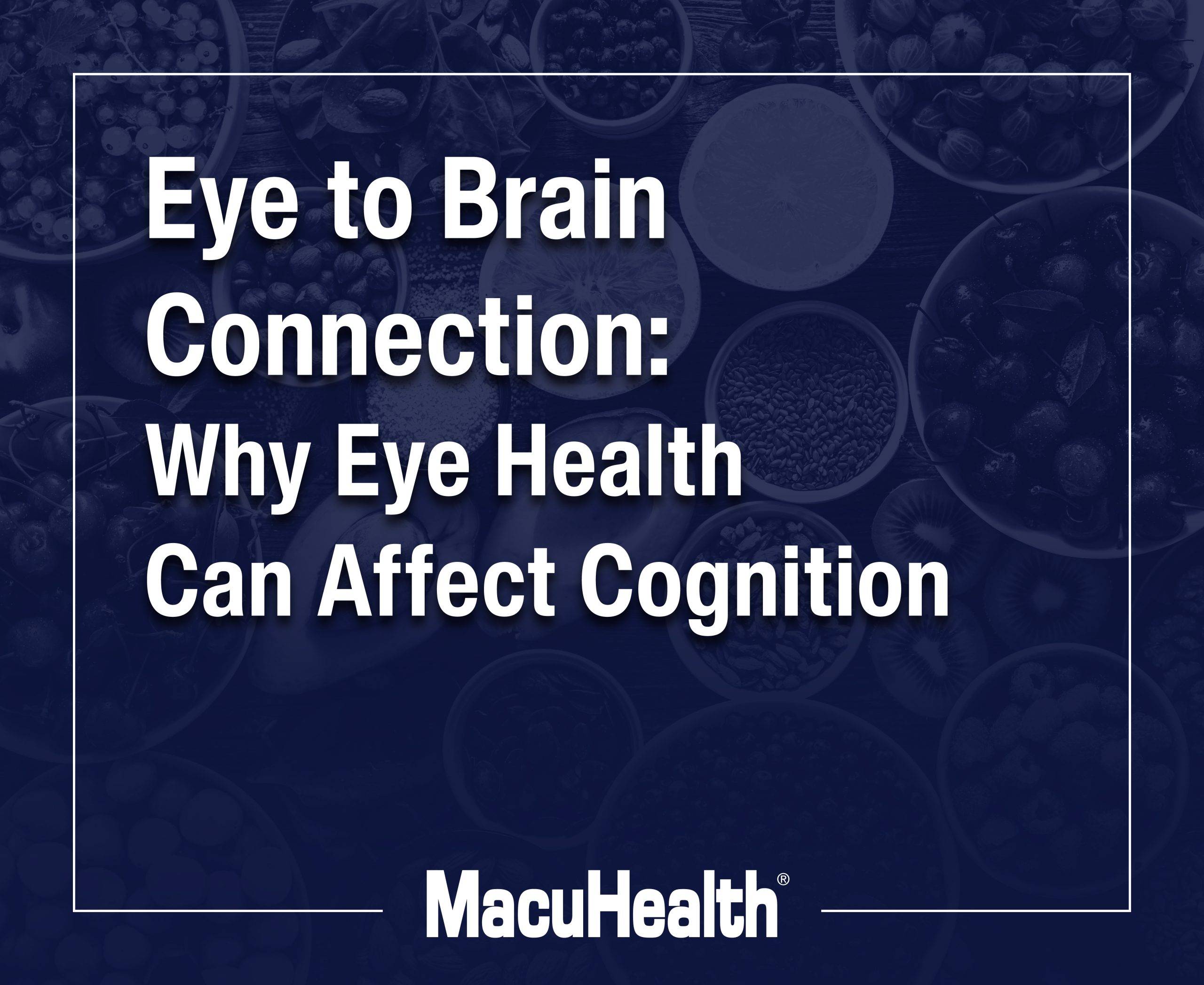 Eye to Brain Connection: How Brain and Eyes Work Together